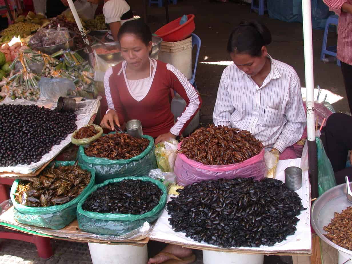 10 worst foods of my life: From beetle larvae in the Amazon to insects ...